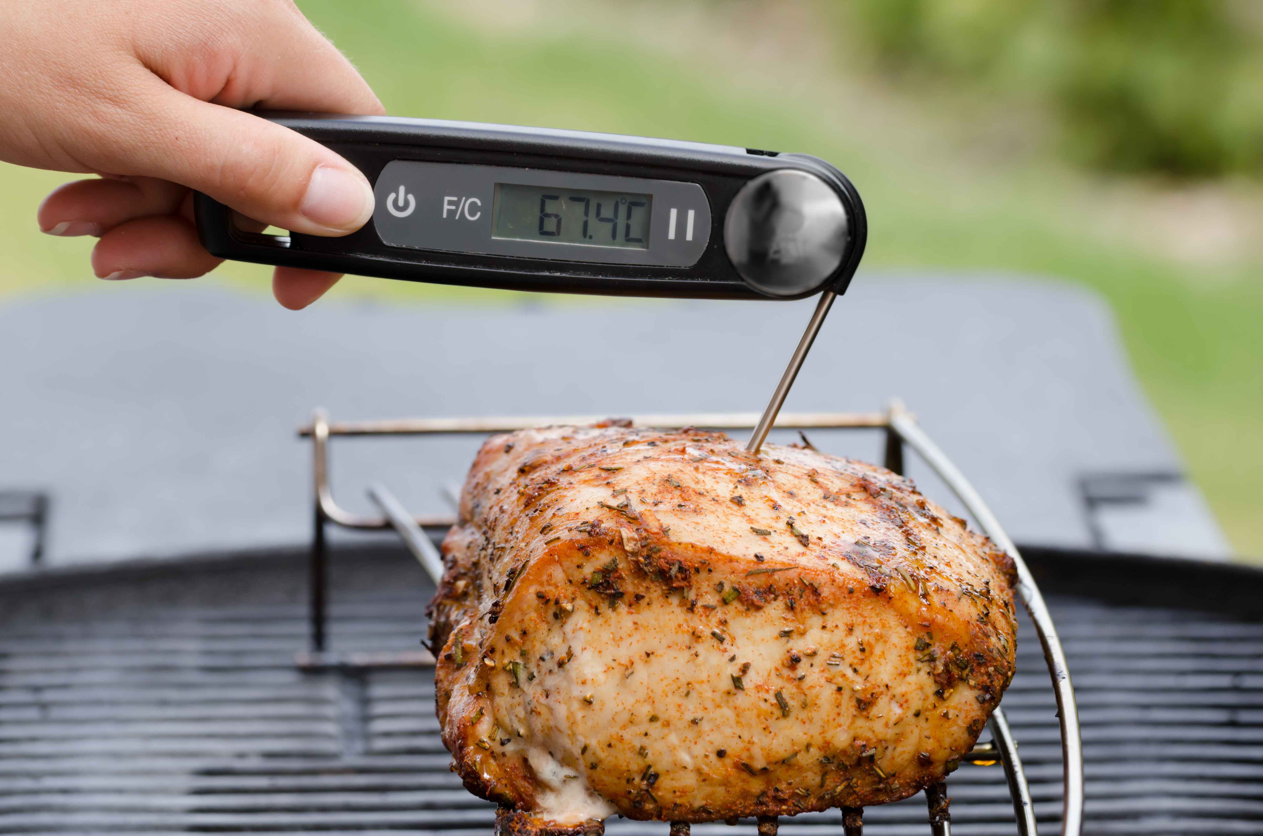 Best Typhur Meat Thermometers - Under $150